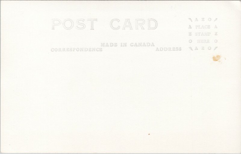 Haney BC The Golden Ears Mountain (spelling error) Unused RPPC Postcard ...