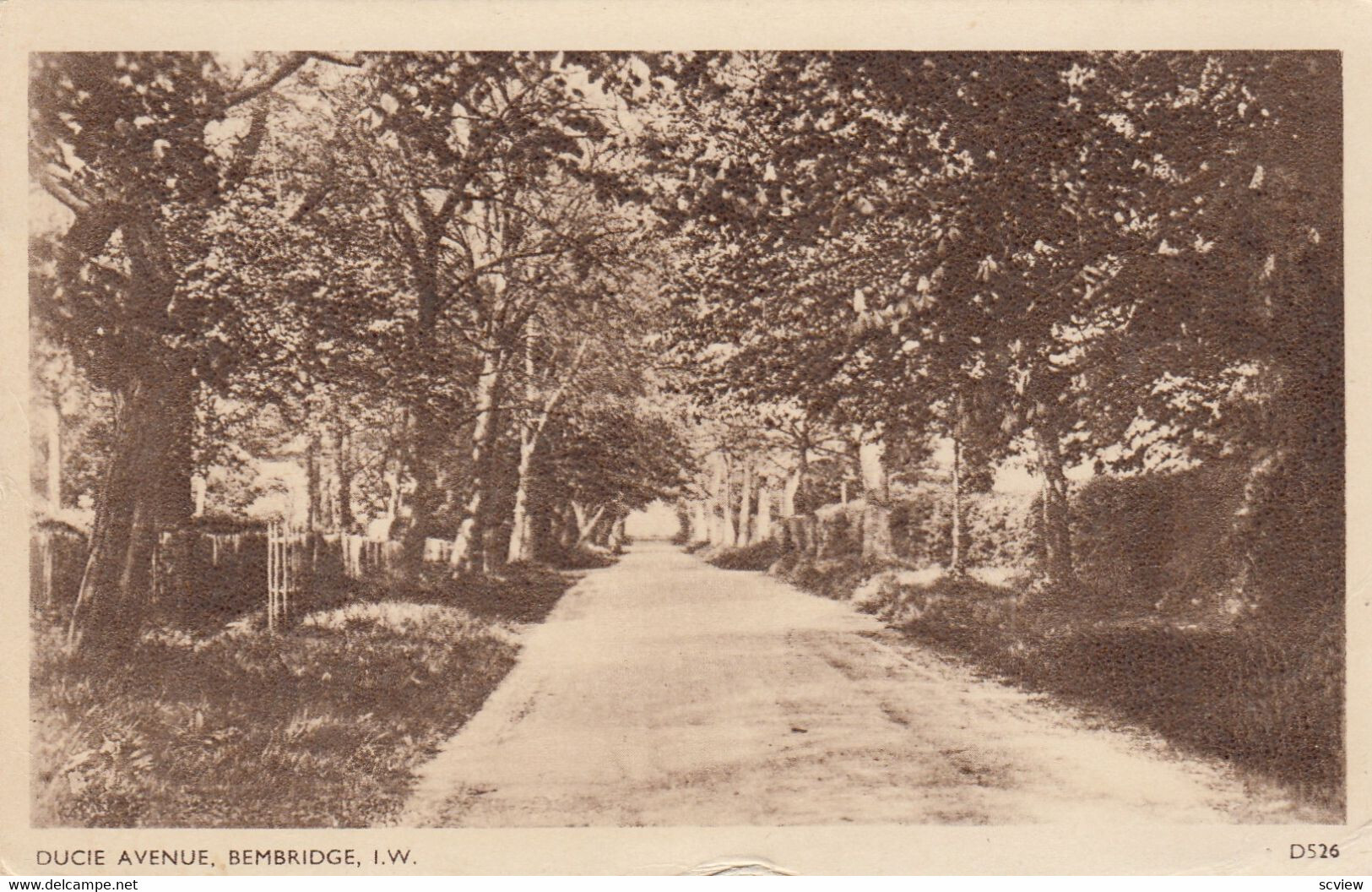 BEMBRIDGE , I.W. , 1910-30s ; Ducie Avenue | Other / Unsorted, Postcard ...