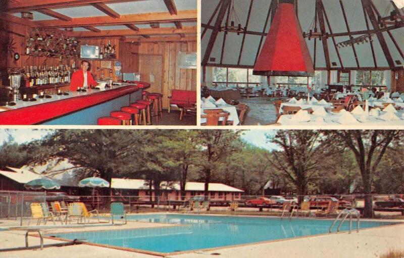Comins Michigan Fonro Lodge Resort Motel Multiview Vintage Postcard ...