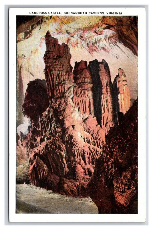 Cardross Castle Shenandoah Caverns Virginia UNP Unsued WB Postcard Z8 ...