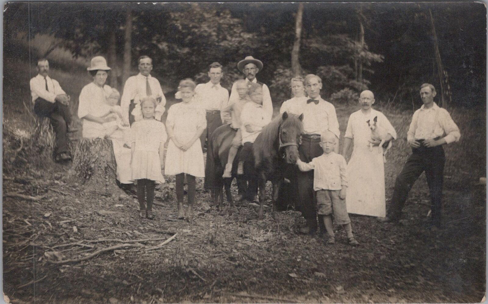 RPPC Postcard Group People on Outing in Woods WIth Dog and Pony ...