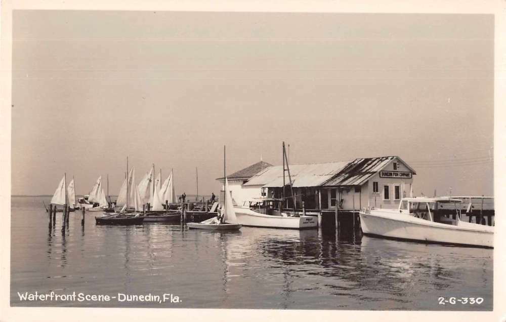 Dunedin Florida Waterfront Scene Real Photo Vintage Postcard AA6917 ...
