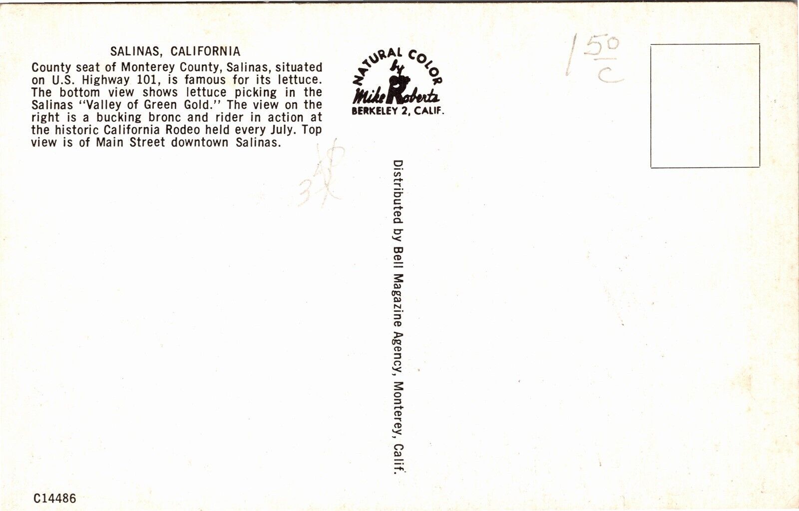 Postcard CA Howdy from Salinas Main Street Lettuce Picking & Rodeo ...