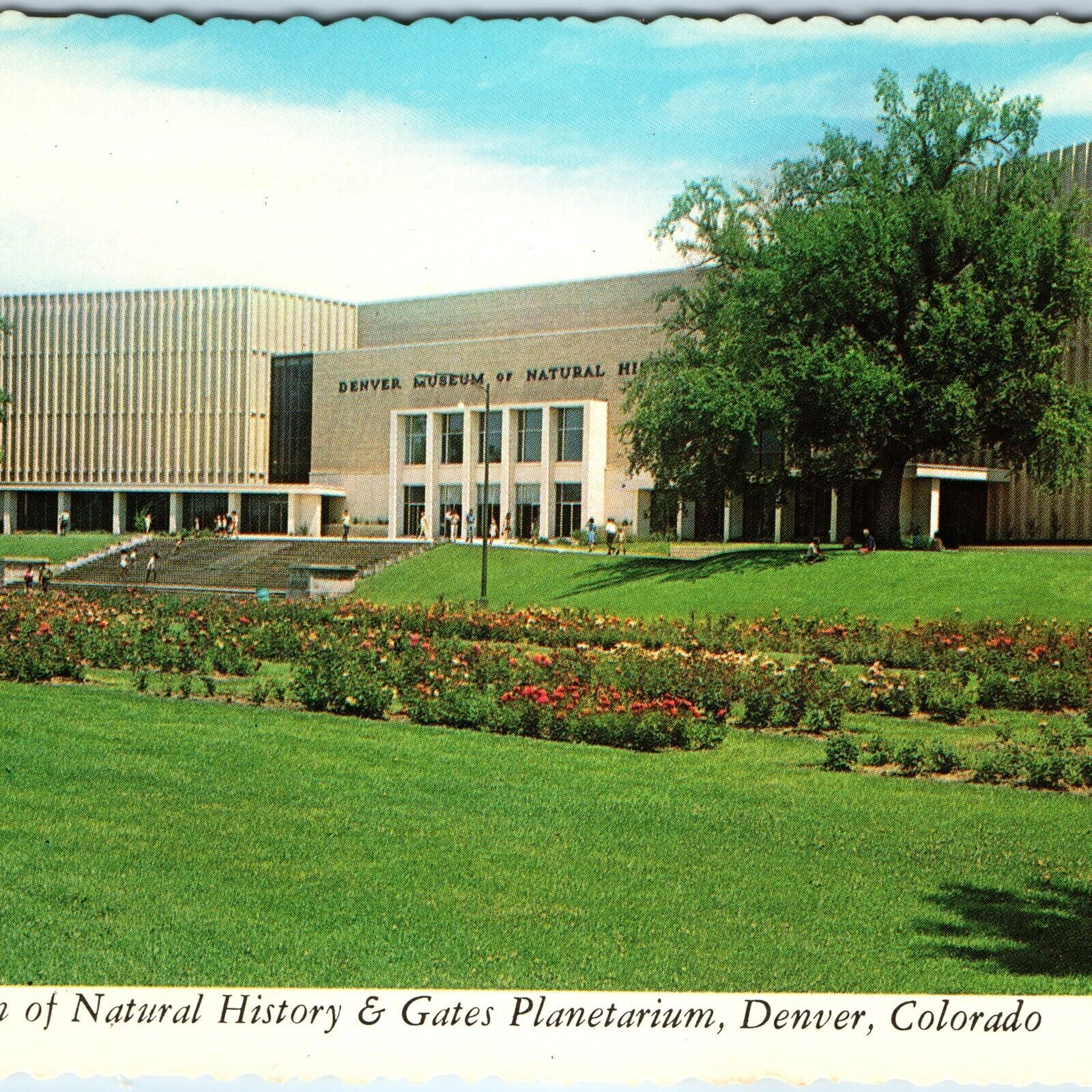 c1970s Denver, CO Museum Natural History Gates Planetarium Crowd Park ...