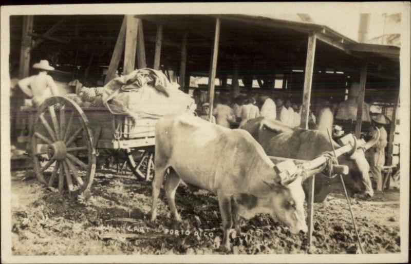 Oxen Cart Puerto Porto Rico c1920s Real Photo Postcard jrf | Latin ...