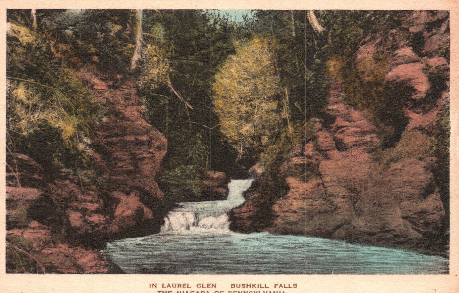 Vintage Postcard 1910s in Laurel Glen Bushkill Falls The Niagara of ...