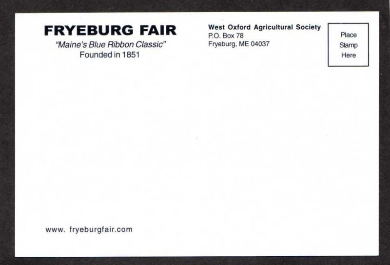 ME View Pig Scramble Fryeburg Fair MAINE Postcard Pigs Hogs | United ...