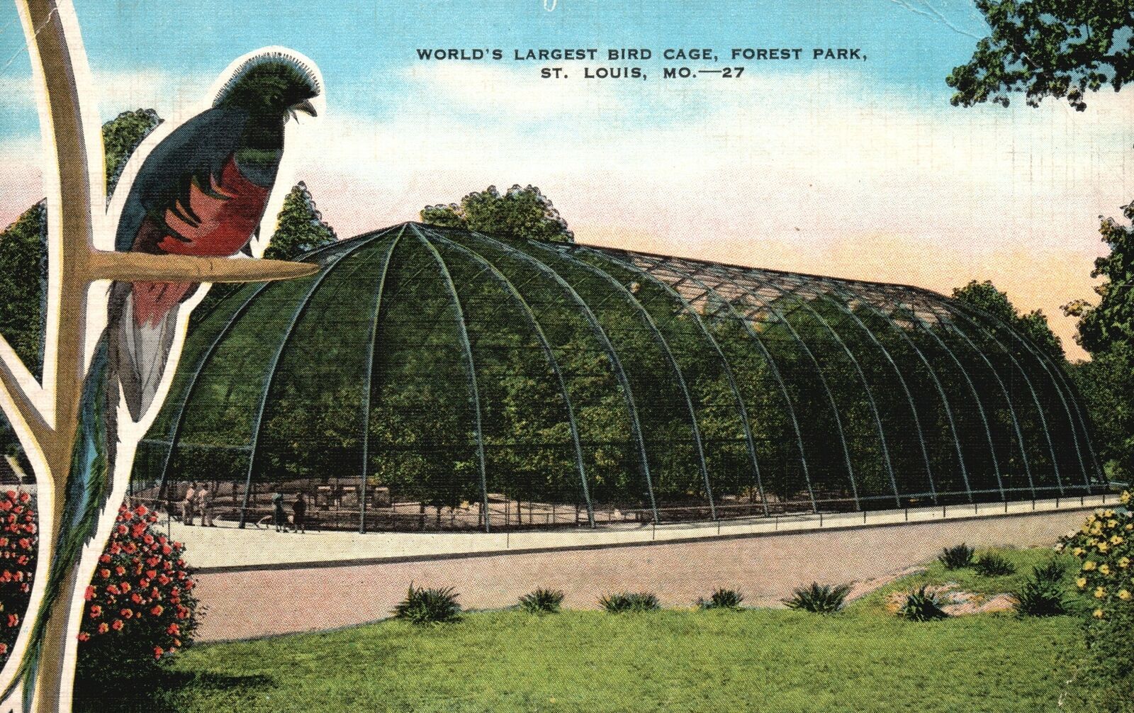 Vintage Postcard 1944 World's Largest Aviary Bird Cage Forest Park St ...