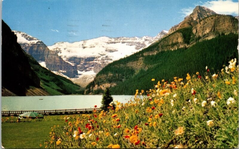 Lake Louise Mount Lefroy Victoria Glacier Iceland Poppies Postcard PM ...