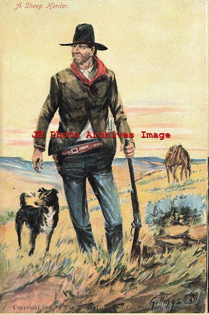 EW Gollings, Range Land Pub 1908, A Sheep Herder, Cowboy with Rifle ...
