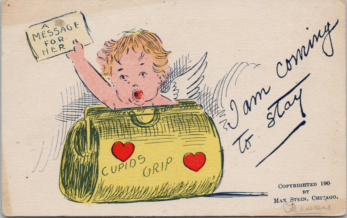 Baby Child Cupids Grip 'I Am Coming To Stay' Comic c1908 Max Stein ...