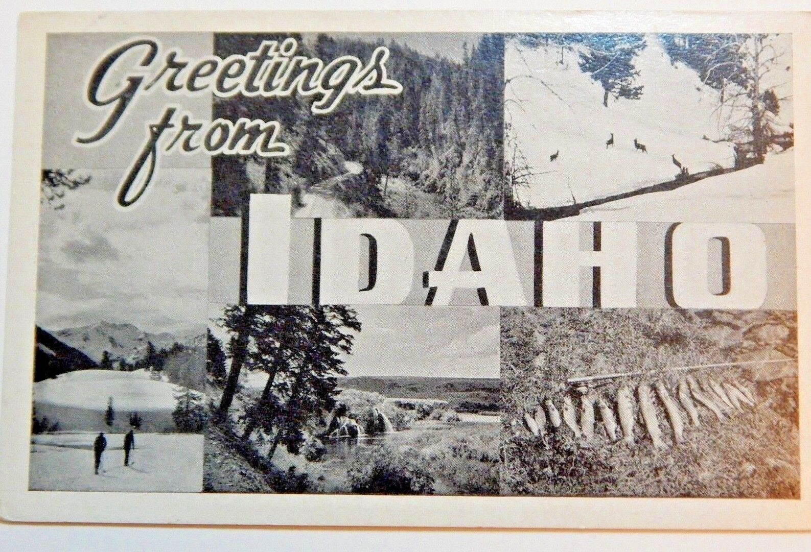 Vintage 1940s GREETINGS FROM IDAHO Large Letter Like Photo Scene ...