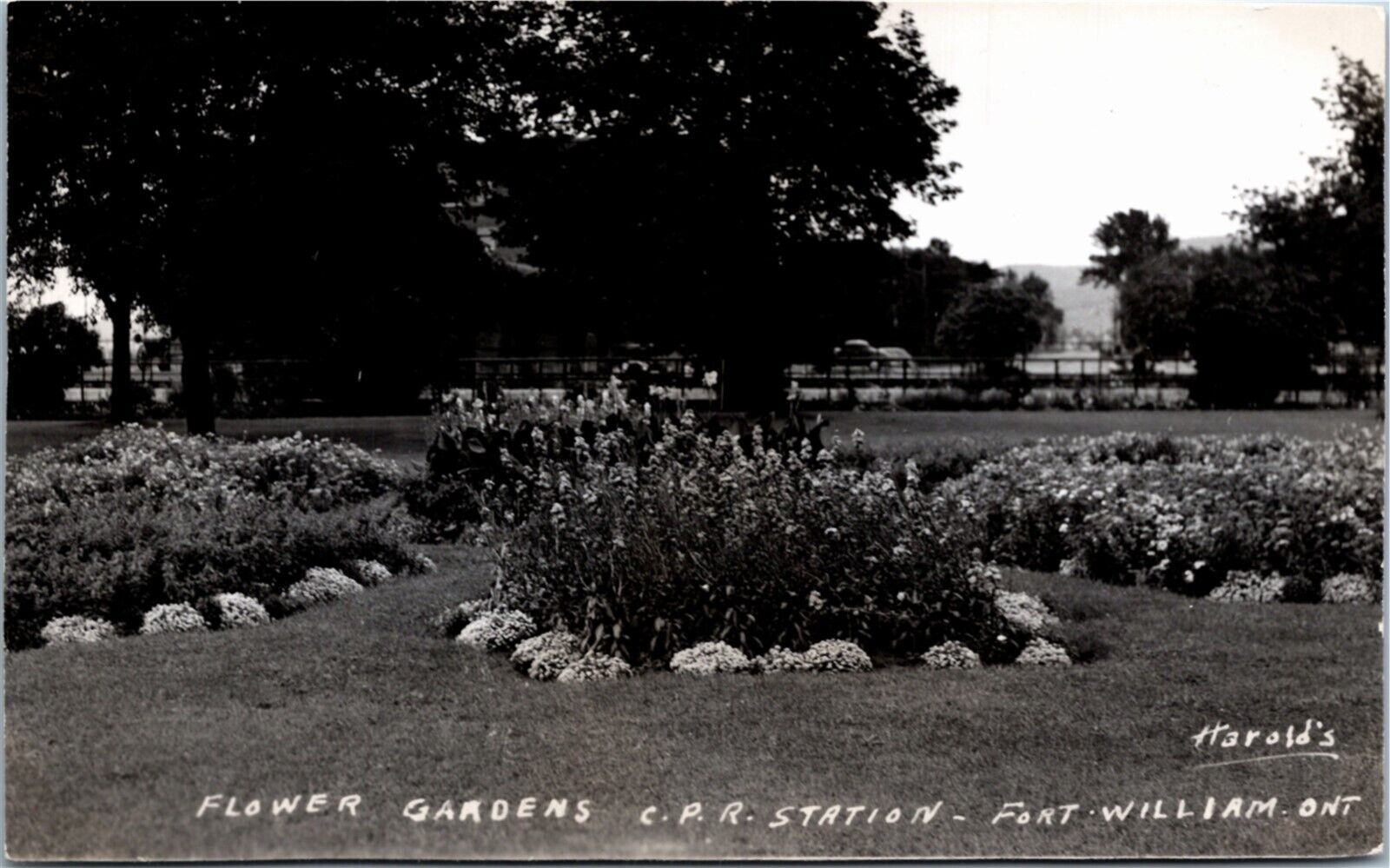 RPPC Postcard ON Fort William CPR Train Station Flower Gardens Harold's ...