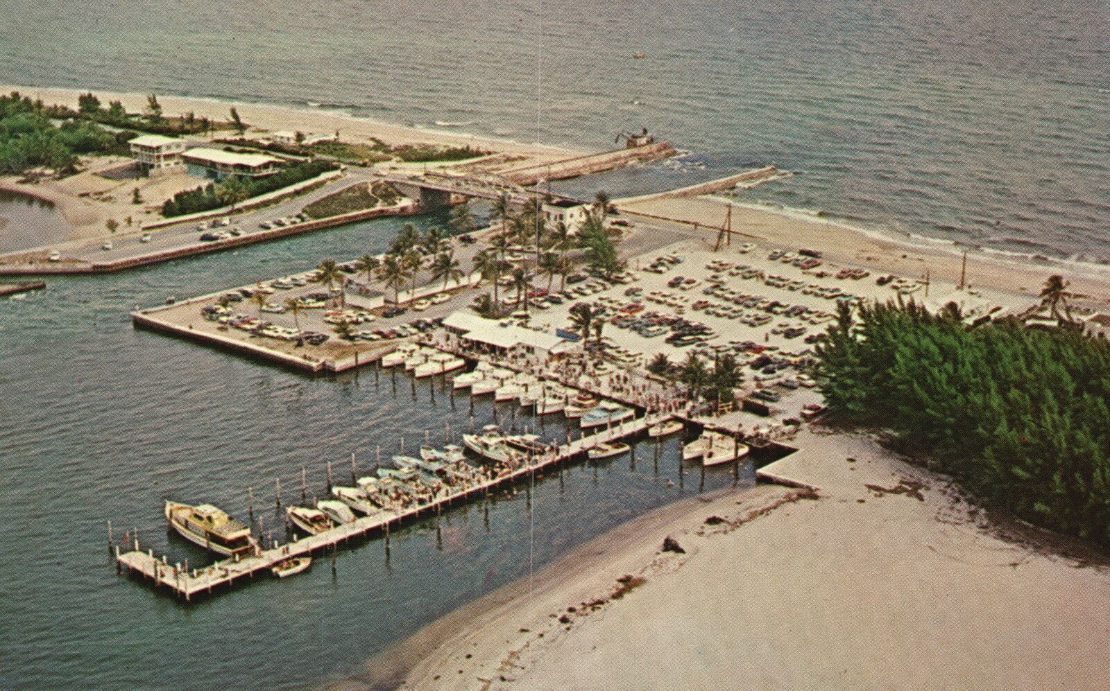 Vintage Postcard Sport Fishing Fleet Marty Hunts Boynton Inlet Duck ...