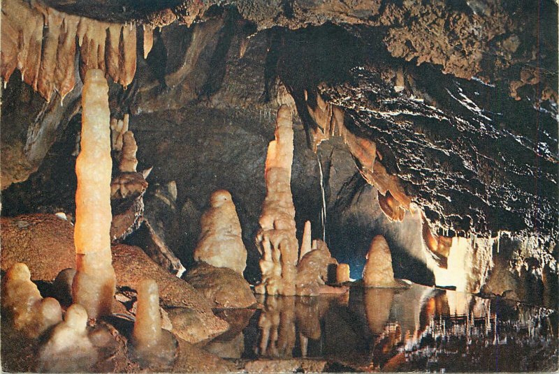 England Postcard Cheddar gorge Aladdin's Cave, Gough's Caves ...