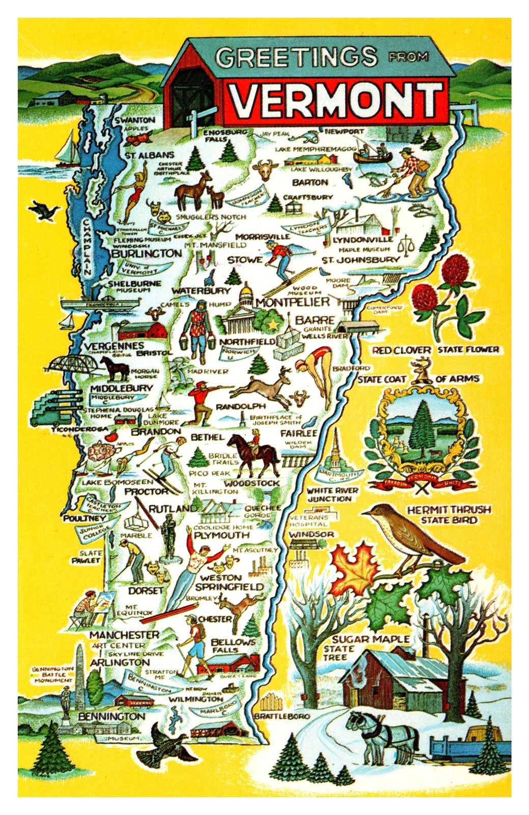 Postcard Map VT - Vermont map card state flower coat of arms bird ...
