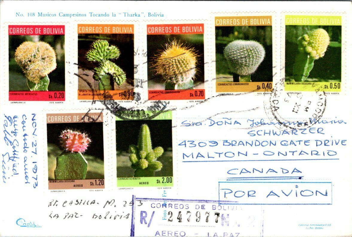 Vintage Continental Size Postcard Musical Campesinos Tocanda the "Tarka ...