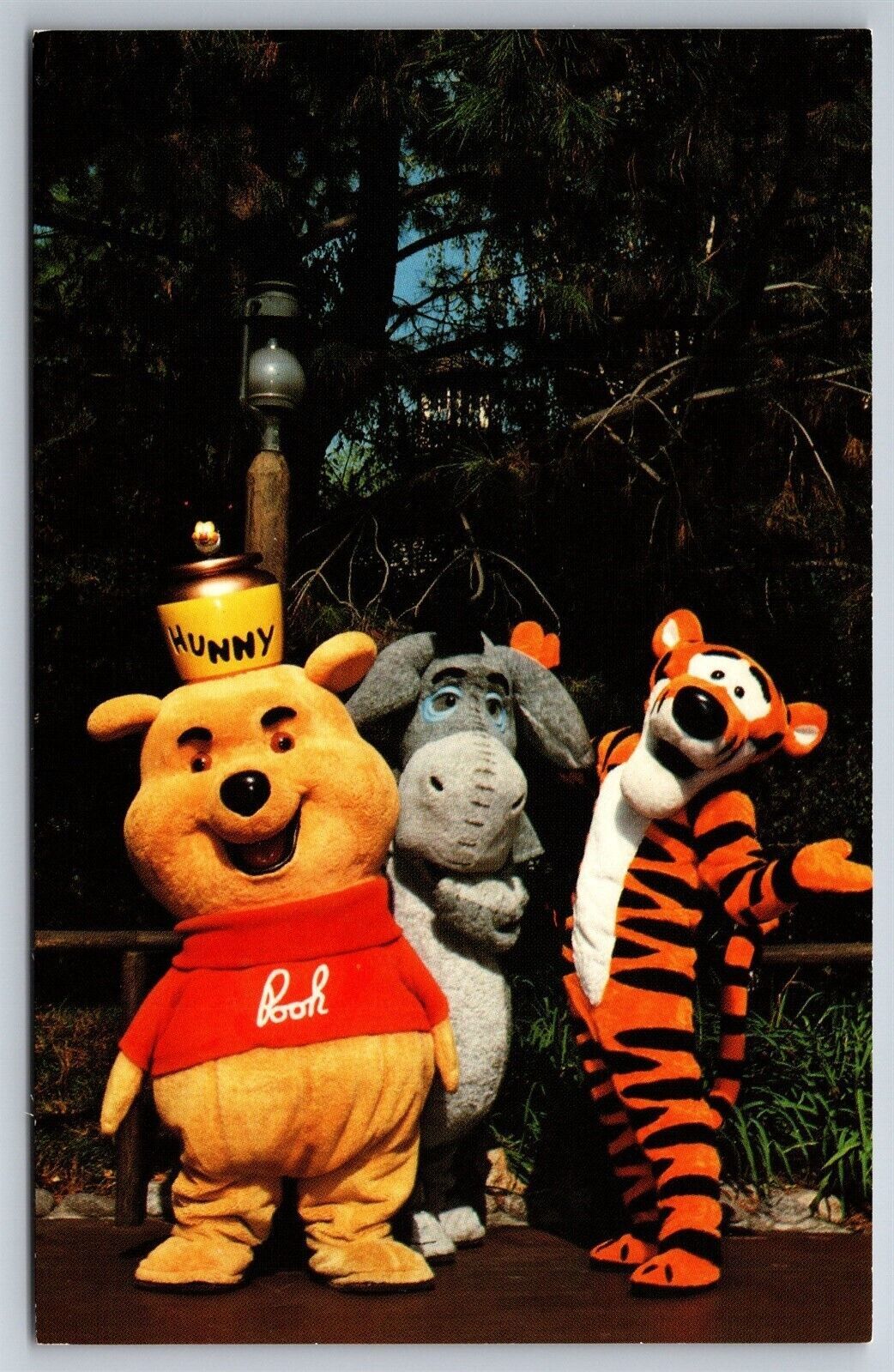 The Hunny Bunch Disneyland Pooh Eeyore Tigger Anaheim CA Postcard Y3 ...
