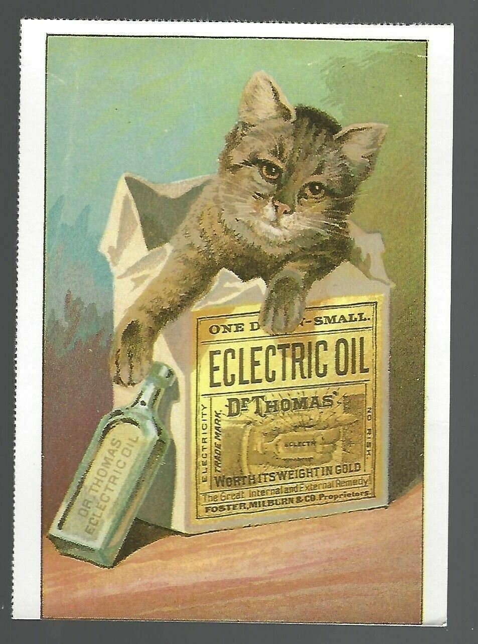 Dr Thomas Eclectric Oil Great Internal & External Remedy Elixir Kitten ...