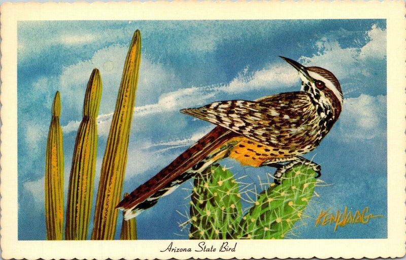 Arizona State Bird Cactus Wren AZ Desert Postcard UNP VTG Capital ...