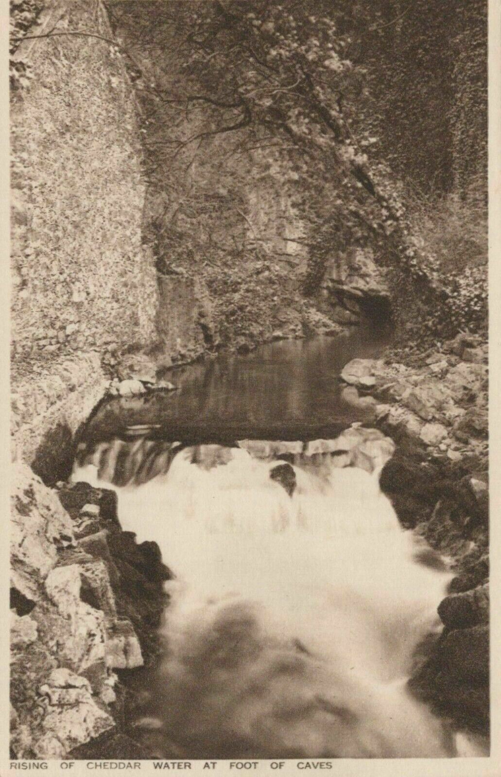 Somerset Postcard - Rising of Cheddar Water at Foot of Caves RS22013 ...