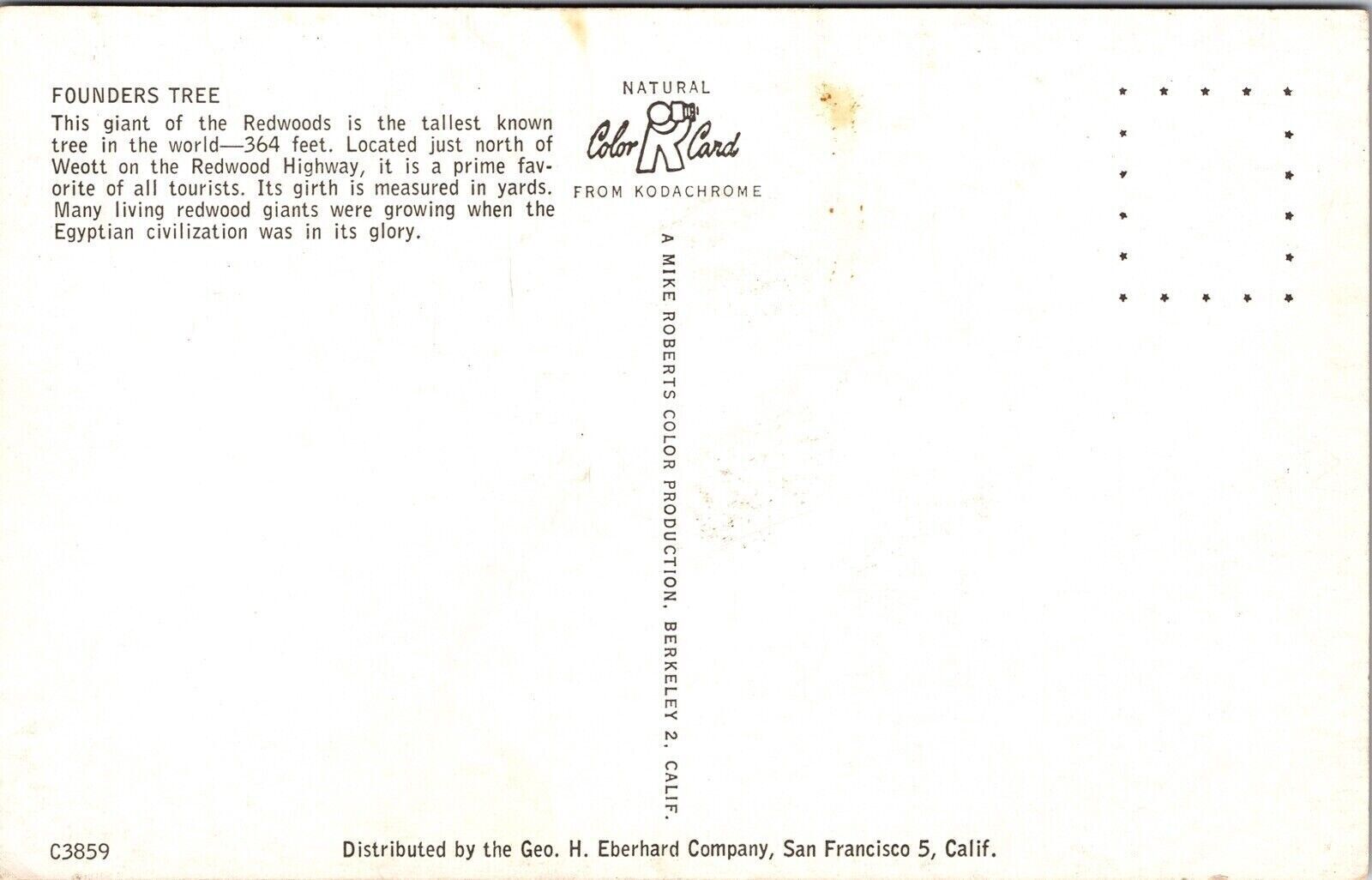 Worlds Tallest Tree Founders 364 Feet World West Highway Kodachrome ...