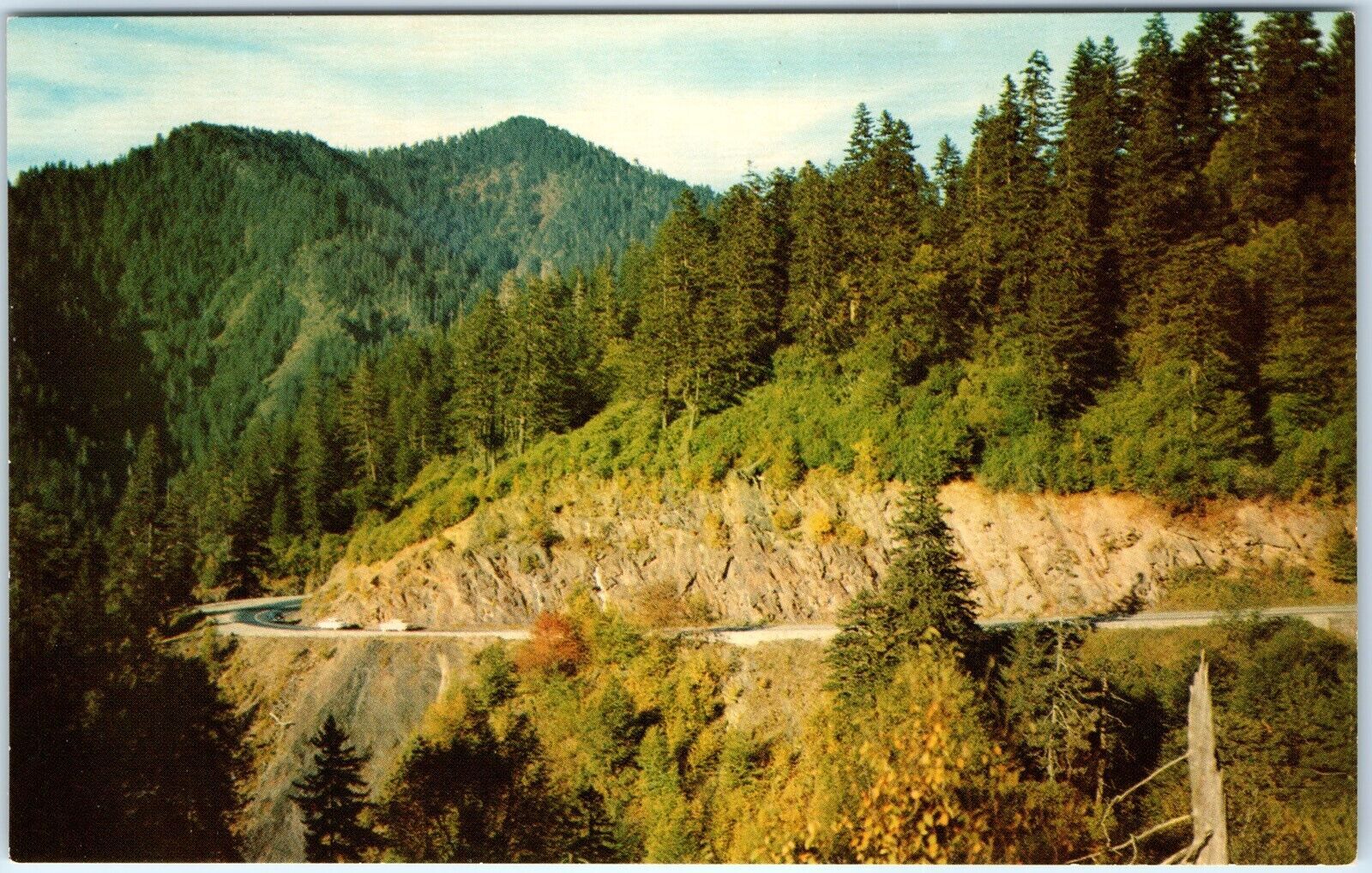 c1960s Smoky Mountains National Park, NC US Highway 441 Birds Eye ...