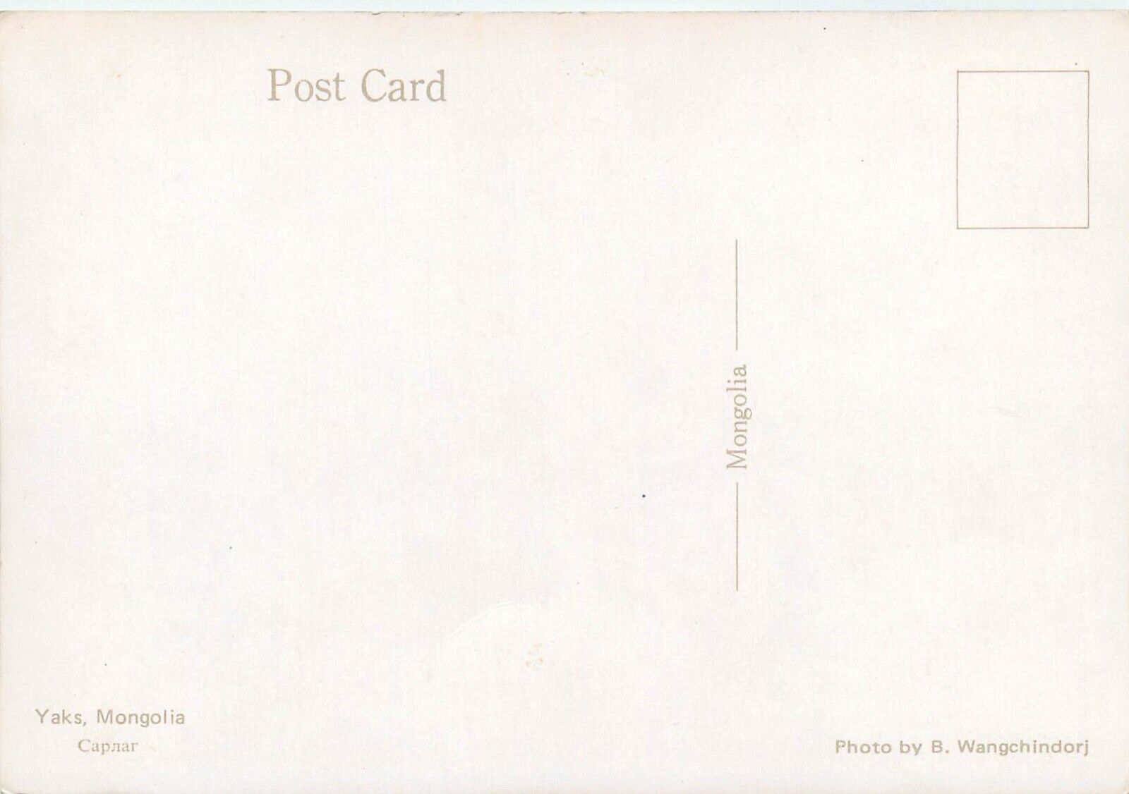 Mongolia yaks scenic postcard | Asia & Middle East - Mongolia, Postcard ...