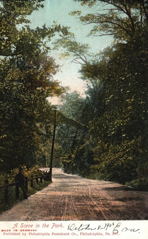 Vintage Postcard 1905 A Scene In The Park Roadway Pathway Forest PPC ...