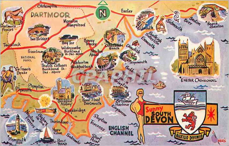 Postcard Modern Scenic map of South Devon | Africa - Algeria - Algiers ...