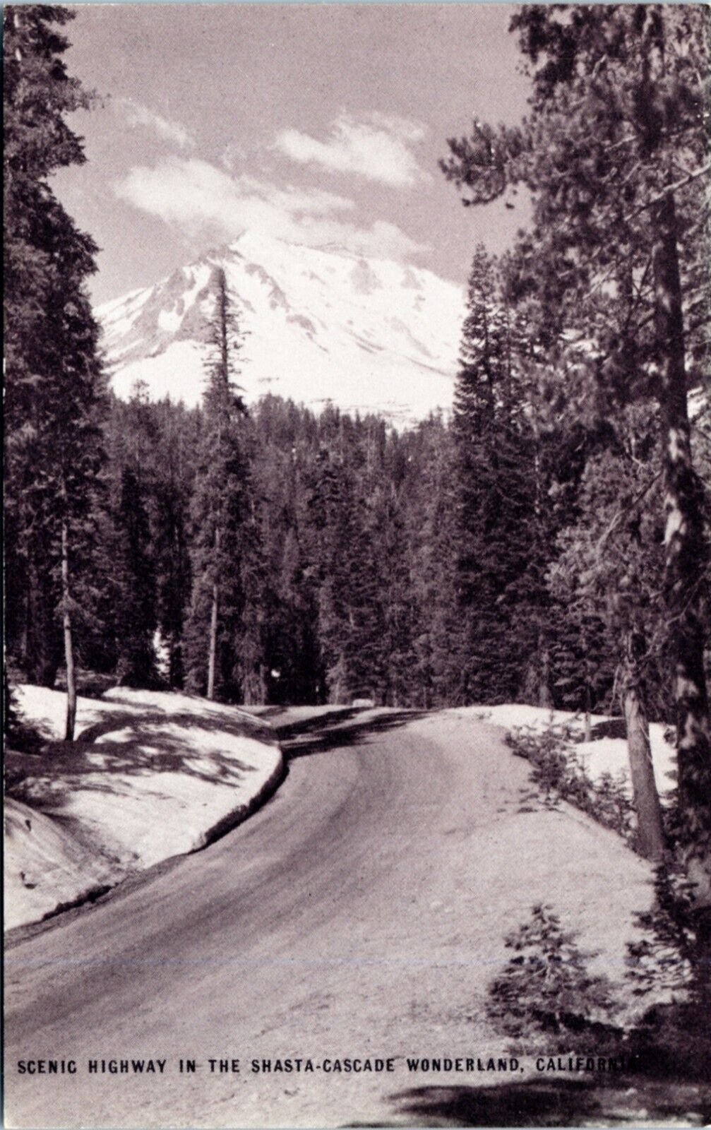 Postcard CA Scenic Highway in the Shasta-Cascade Wonderland - Conoco ...