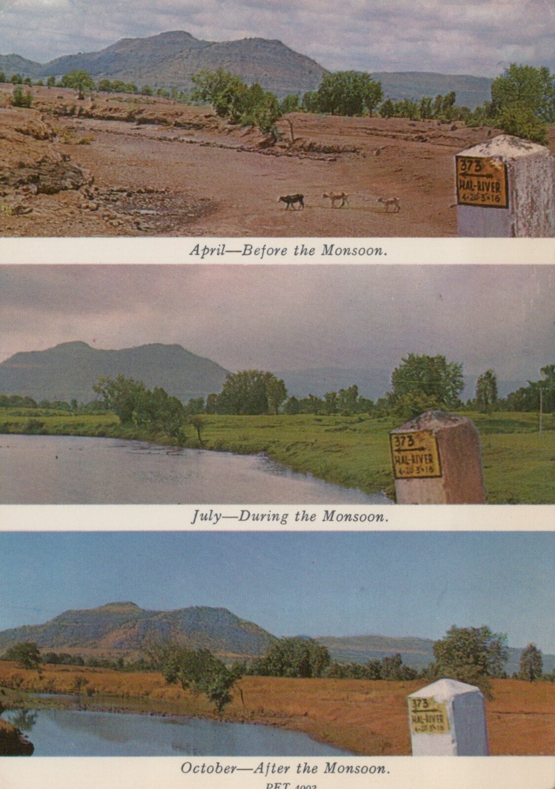 India Postcard - Weather, Rain, The Monsoon in India RR22644 | Asia ...