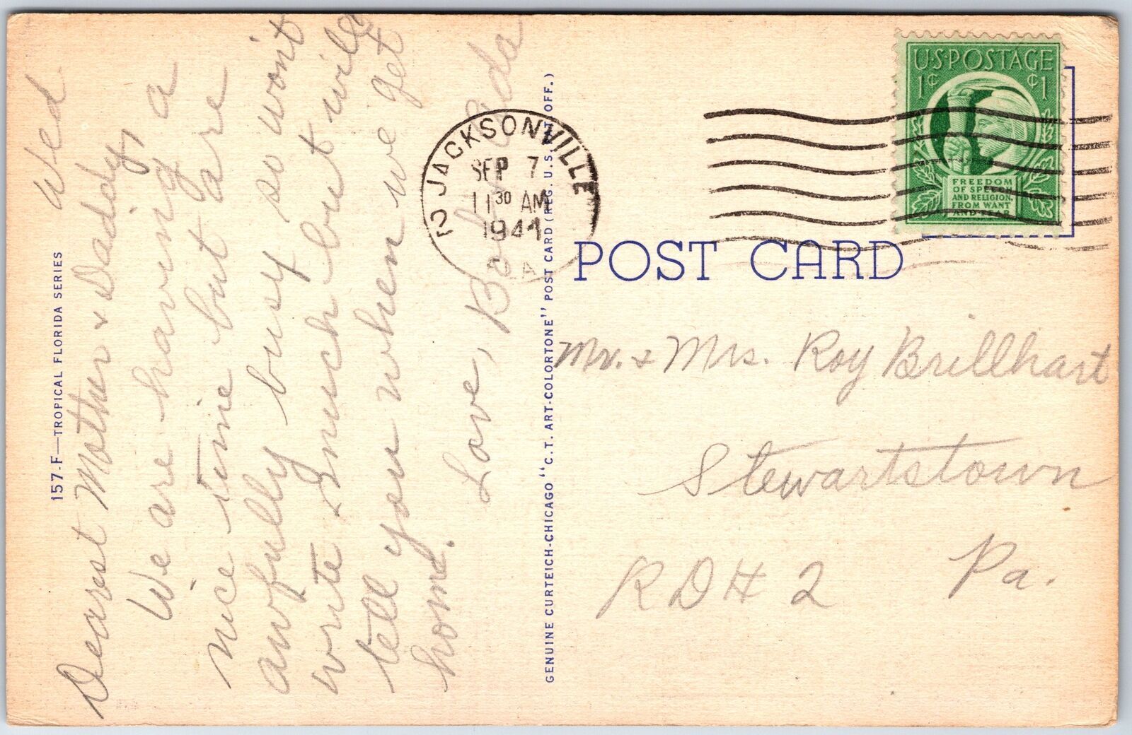 Vintage Postcard ONE of the Largest & Oldest OAK Trees in Florida ...