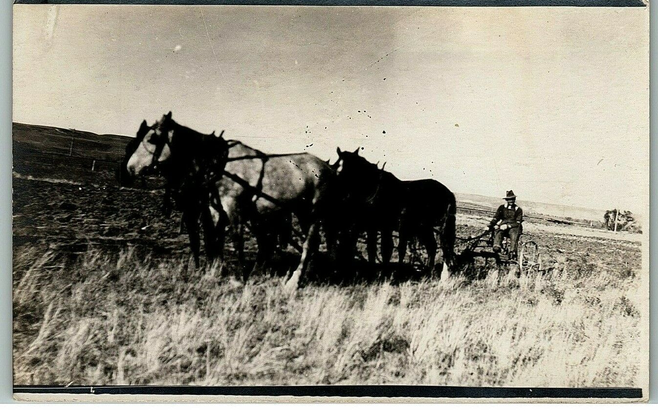 1930s 4 Horse Drawn Farm Equipment Hayfield Real Photo Postcard 6-14 ...