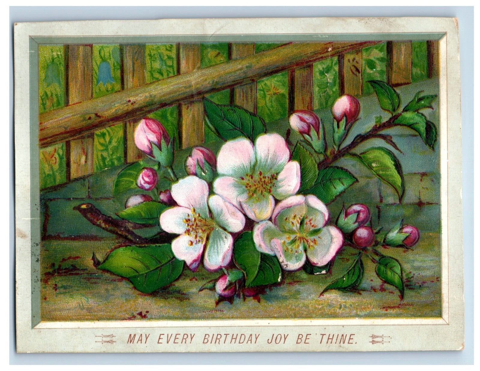 1880s Embossed Victorian Birthday Card Beautiful Blooms Flowers 7E ...
