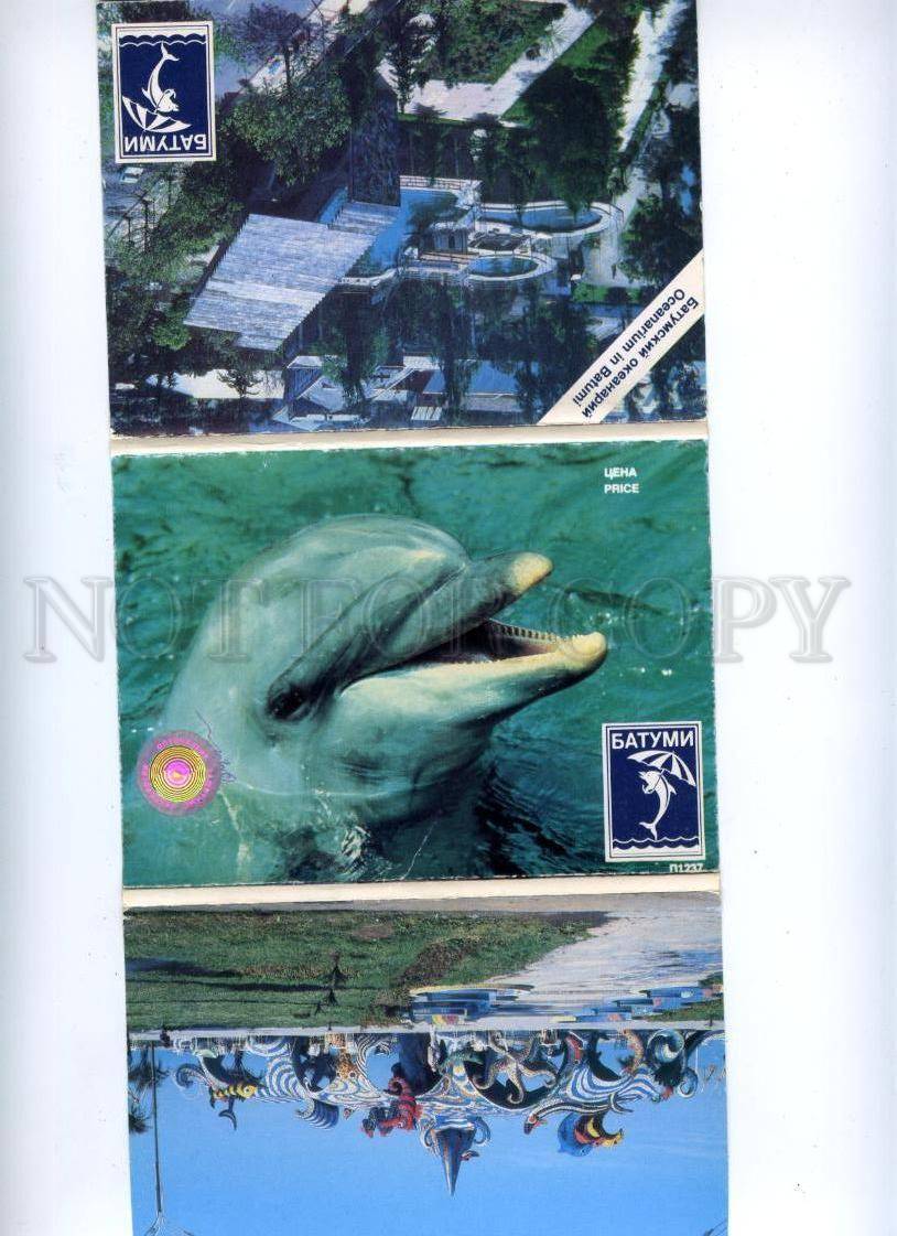 152480 BATUMI Oceanarium dolphin COMPLETE Set 15 old cards | Topics - Animals - Dolphins ...