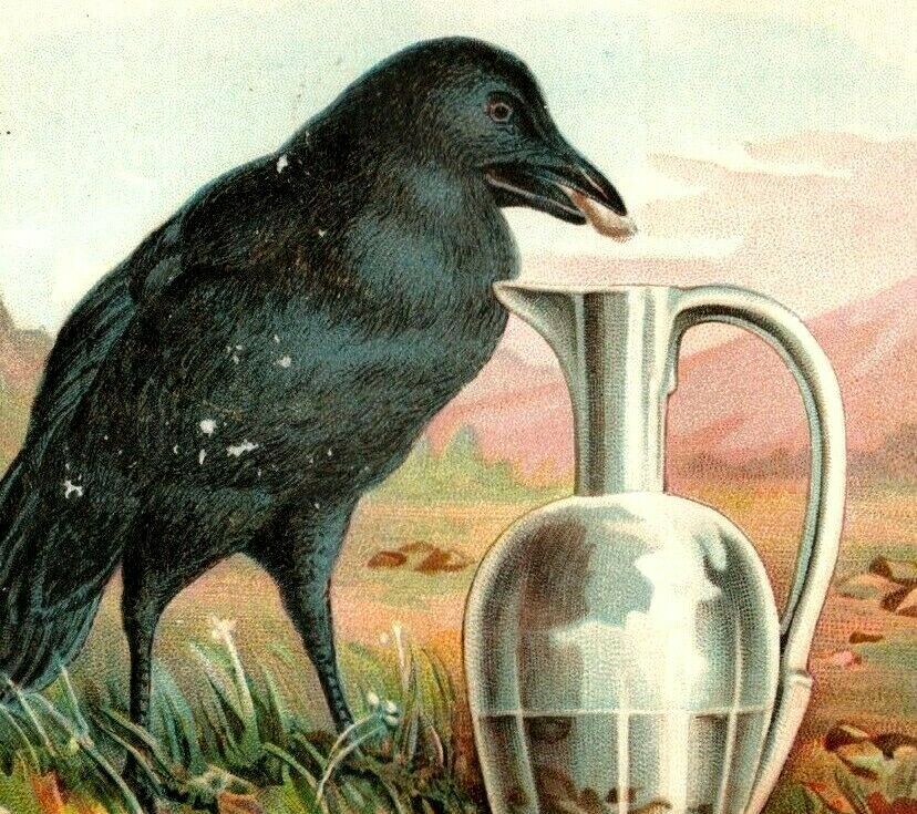 1880s-90s J&P Coats Spool Cotton The Crow & The Pitcher Story P207 ...