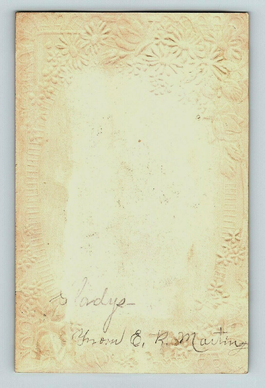 1880's-90's Embossed Victorian Card Colorful Wild Birds Tree Ice Winter ...