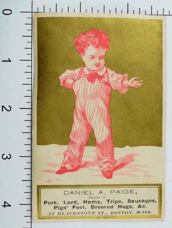1880's Daniel A. Paige Dealer In Pig'a Feet Tripe Dressed Hogs Boy Big ...