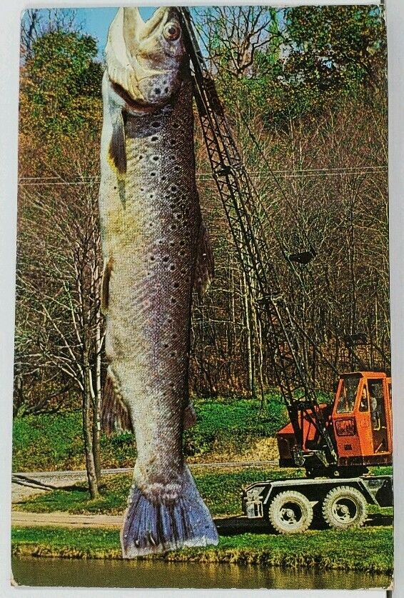 EXAGGERATED FISH "Had a LITTLE HELP on this one" on CRANE 1960s ...