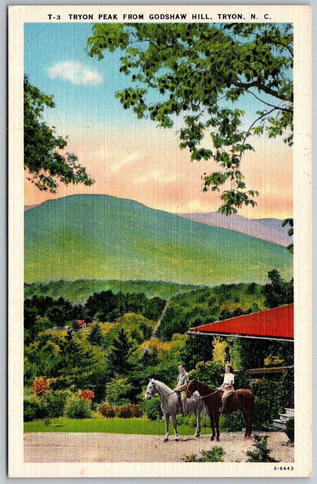 Tryon Noth Carolina 1940s Postcard Tryon Peak From Godshaw Hill Couple ...