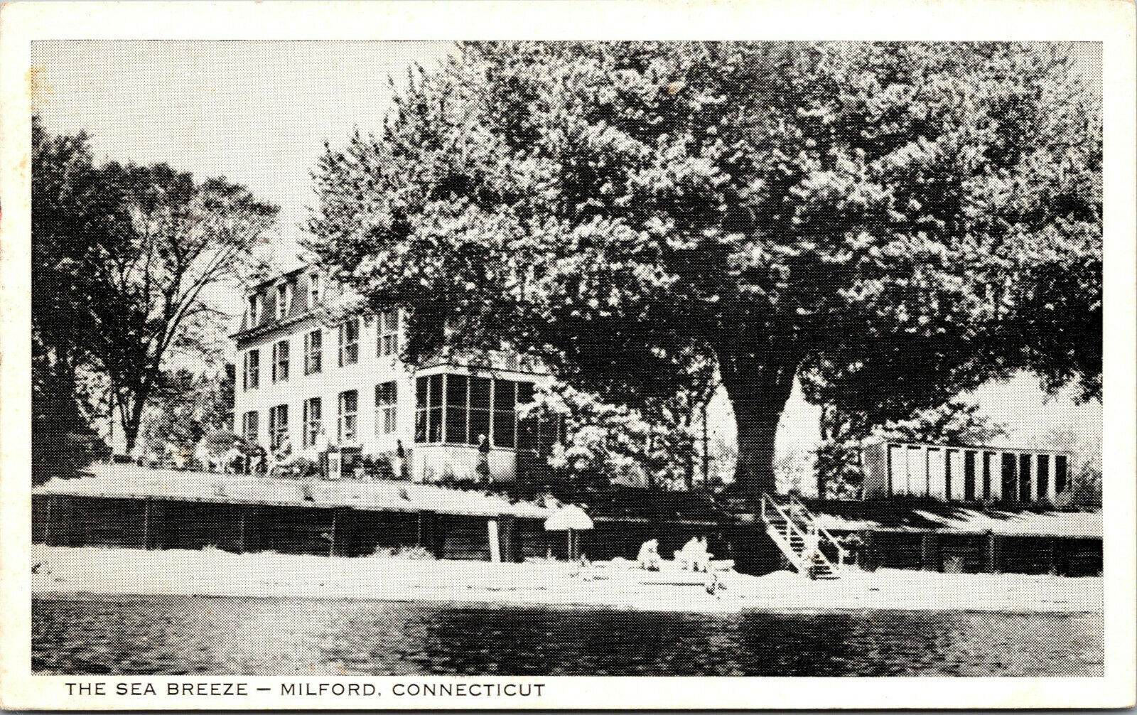 Vtg 1950s The Sea Breeze Milford Connecticut CT Postcard | United ...