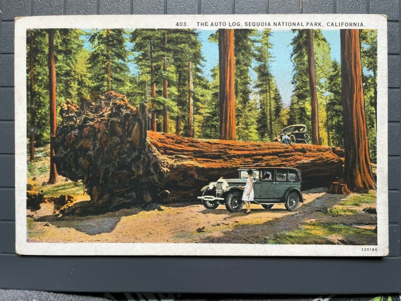 Vintage Postcard 1928 The Auto Log, Sequoia National Park California ...