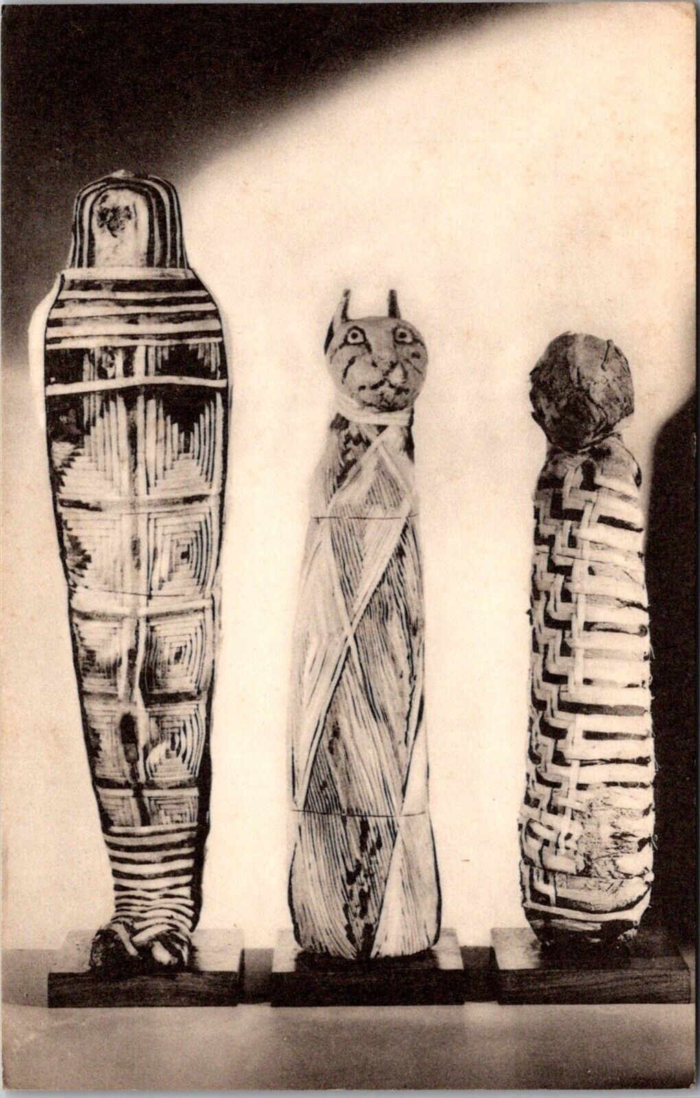 Egyptian Cat and Falcon Mummies, University Museum Philadelphia PA ...