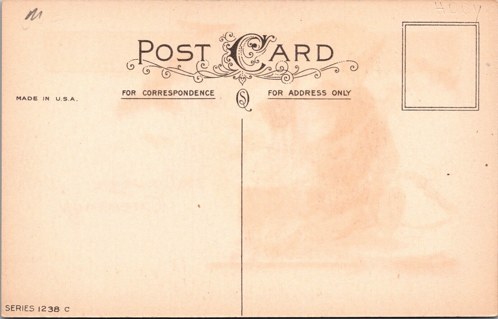 Vintage Stecher Co. Litho Ugly Witch on Tree, Black Cat & Owl Halloween ...