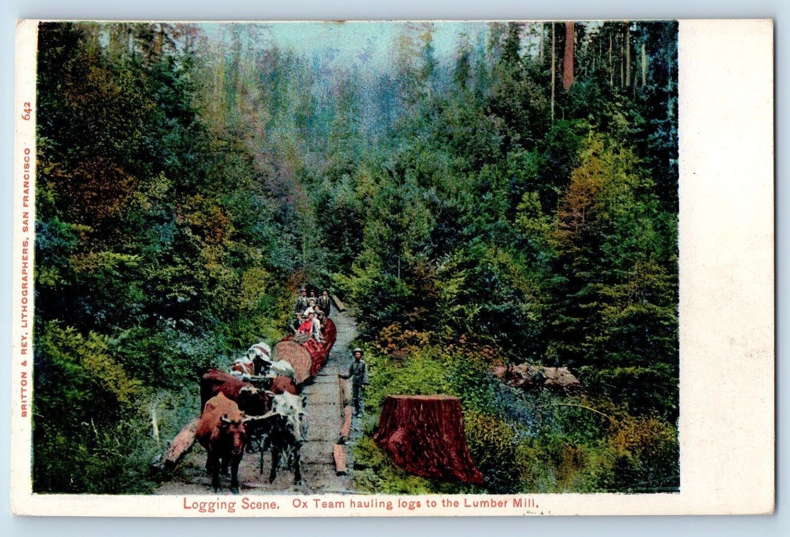 Logging Scene Postcard Ox Team Hauling Logs To The Lumber Mill Forest ...