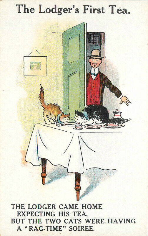 1920s Cats Lodger Tea time comic Humor artist impression Postcard 22 ...