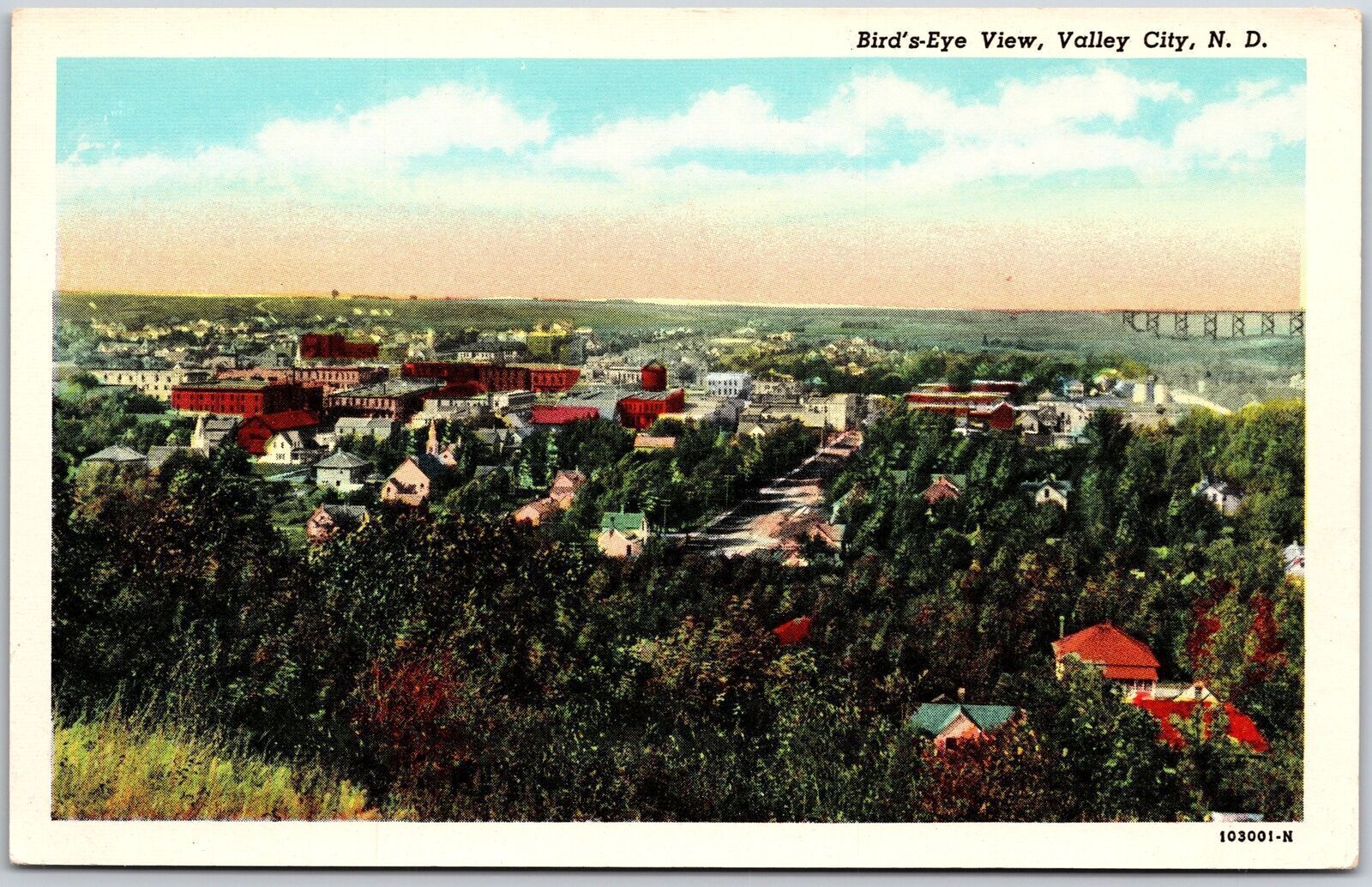 Birds Eye View Valley City North Dakoda ND Panorama Buildings Grounds ...