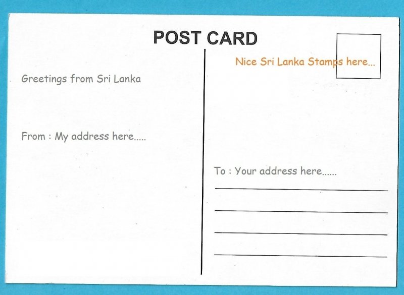 SRI Lanka Stilt Fishing - Mail Card From SRI Lanka | Asia & Middle East ...