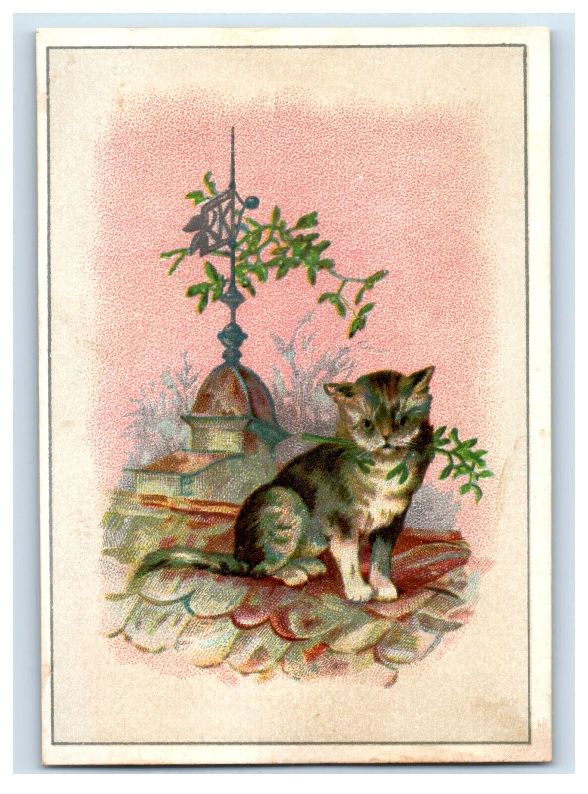 1880s Lion Coffee Woolson Spice Co. Mocha Java Cat & Mistletoe P160 ...